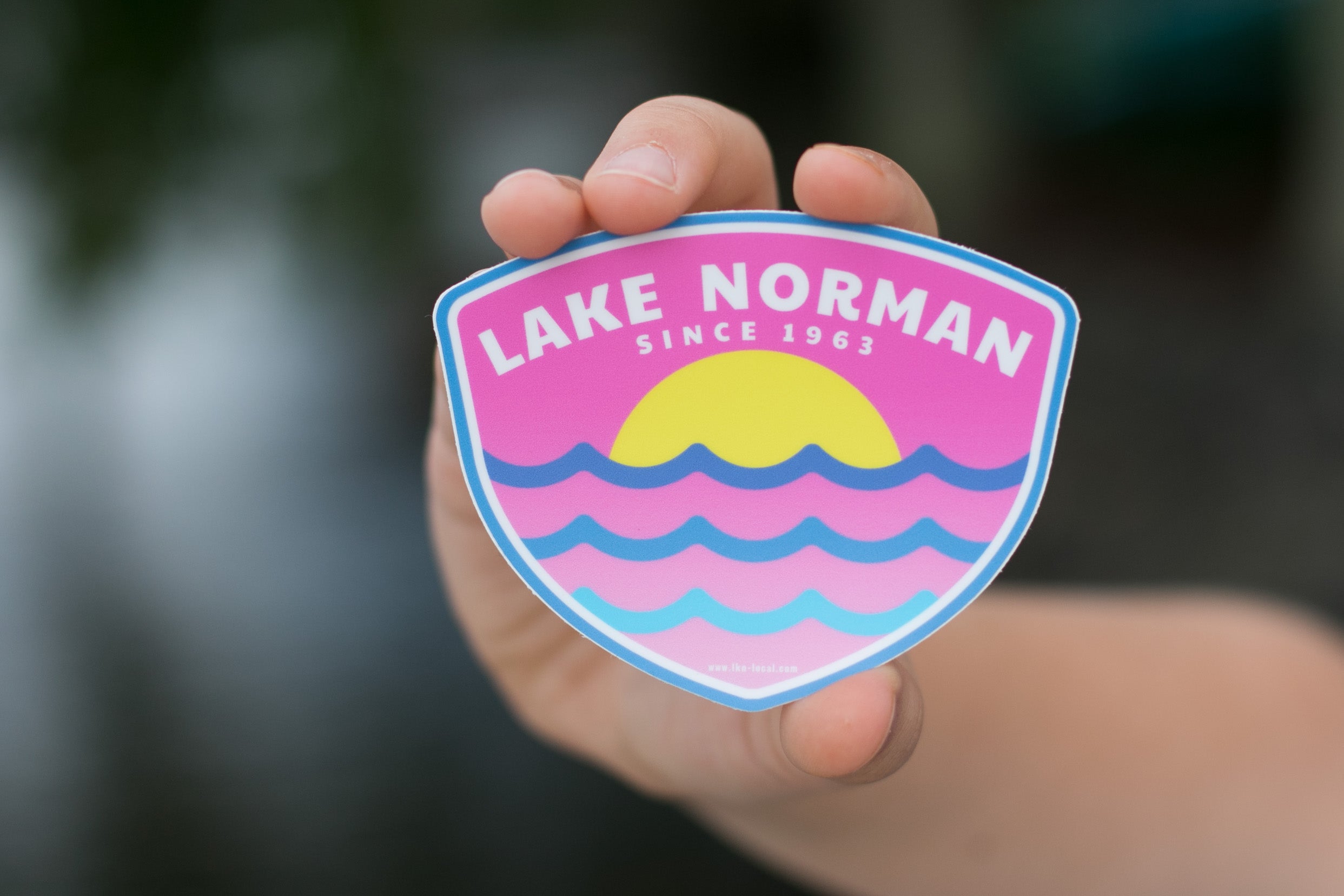 Lake Norman "Waves" Sticker – LKN Local